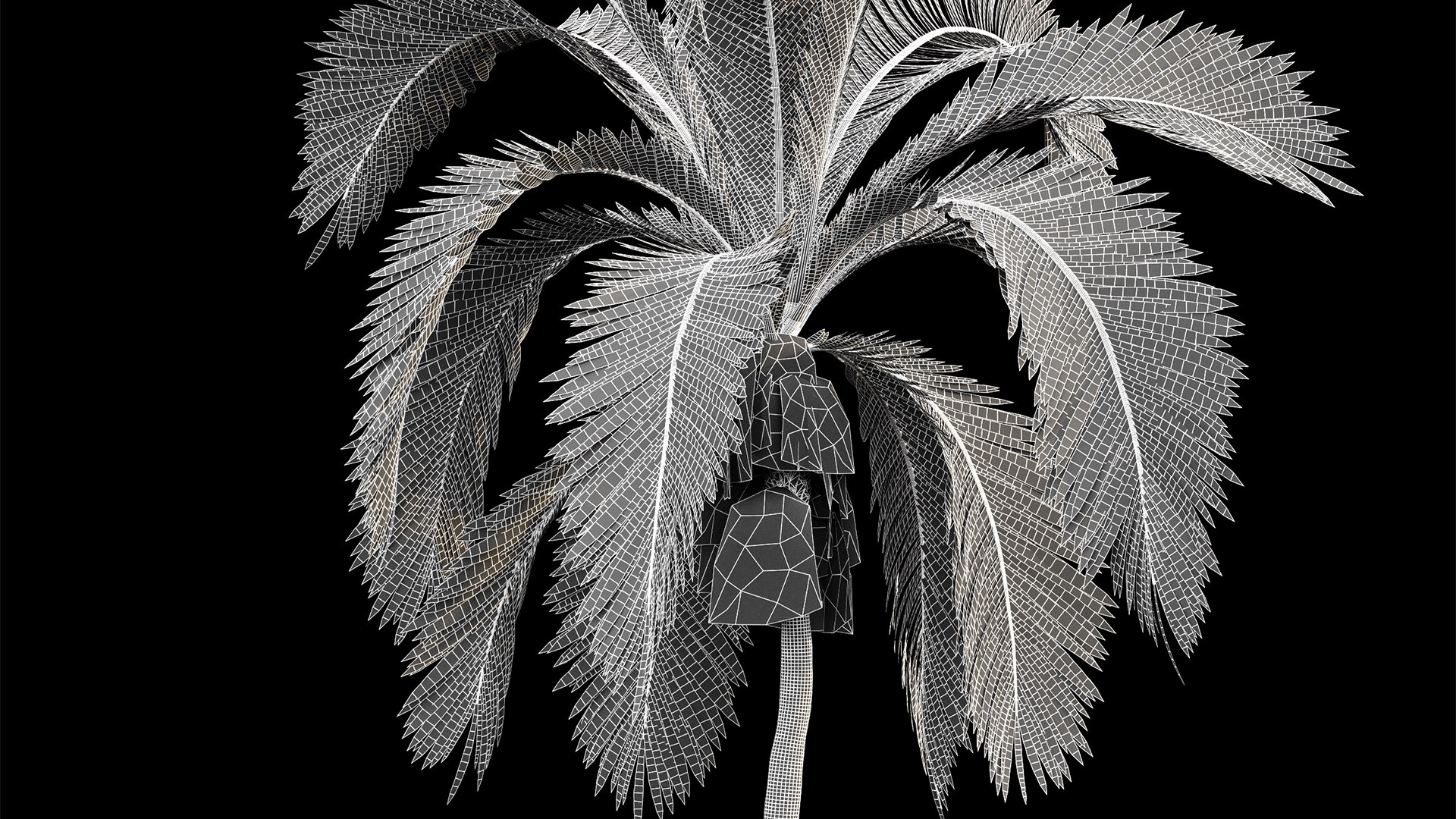 Queen Palm 4 Trees Syagrus Romanzoffiana 3D - TurboSquid 2254635