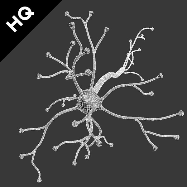3d model neuron