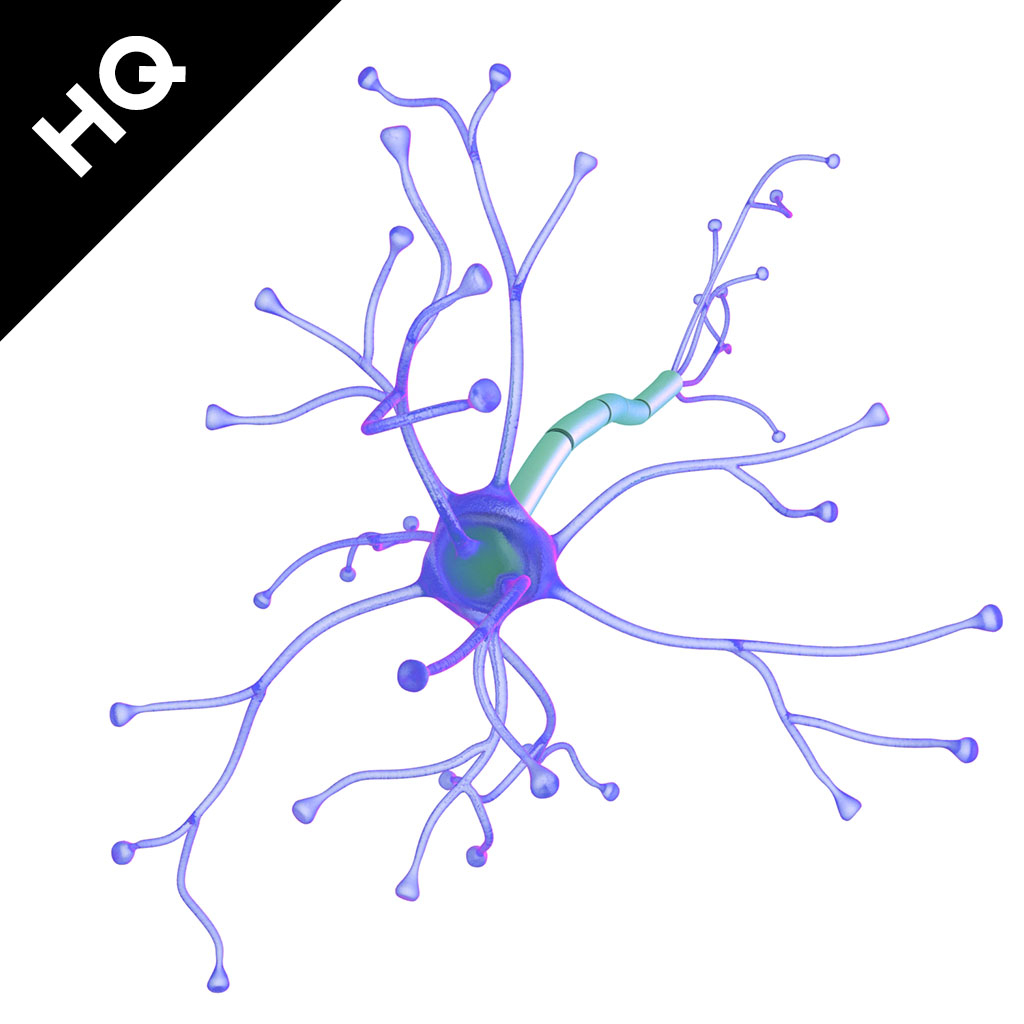 3d model neuron