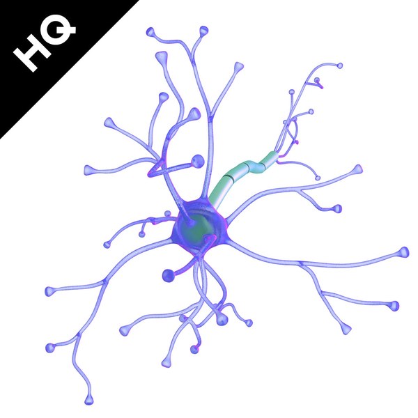 3d model neuron