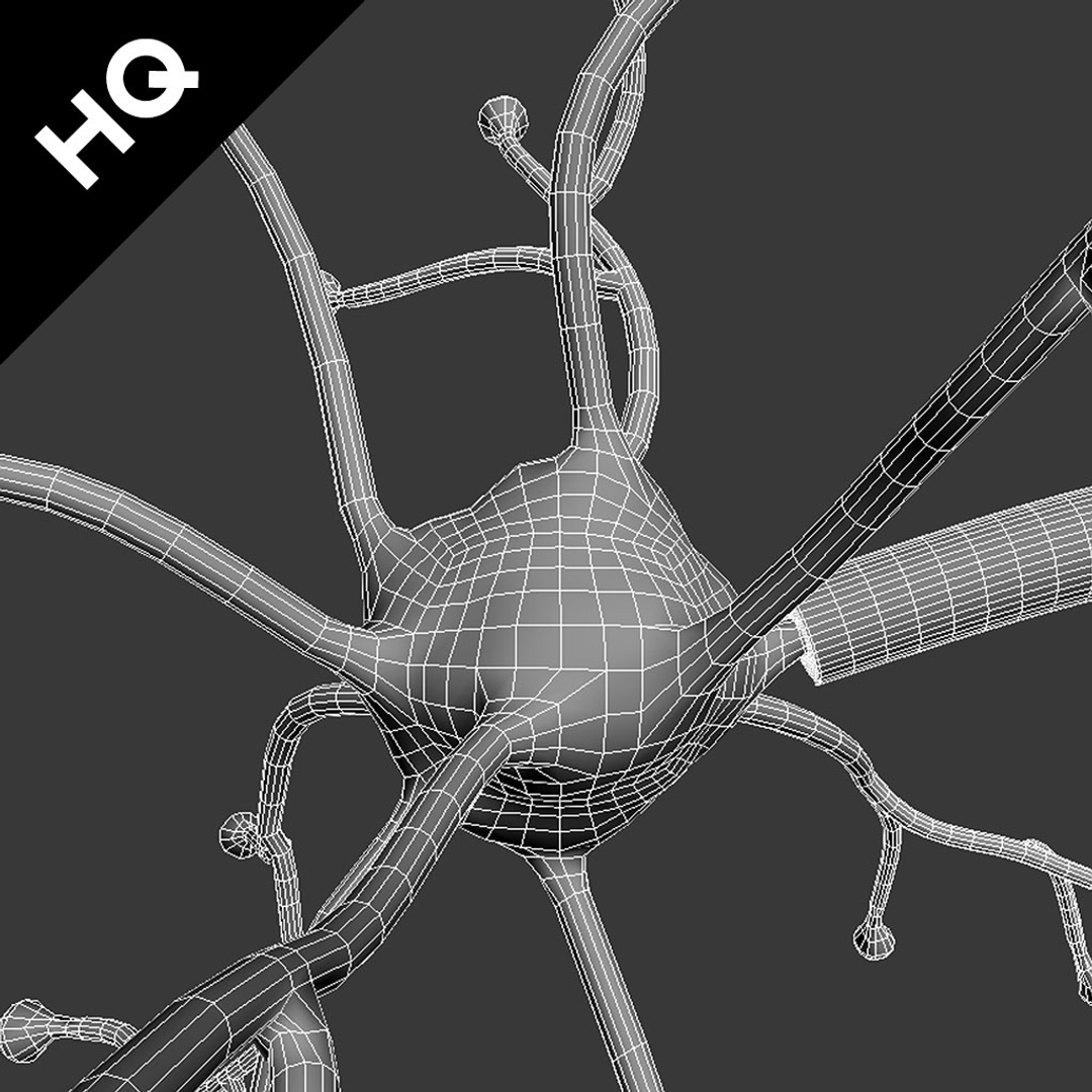 3d model neuron