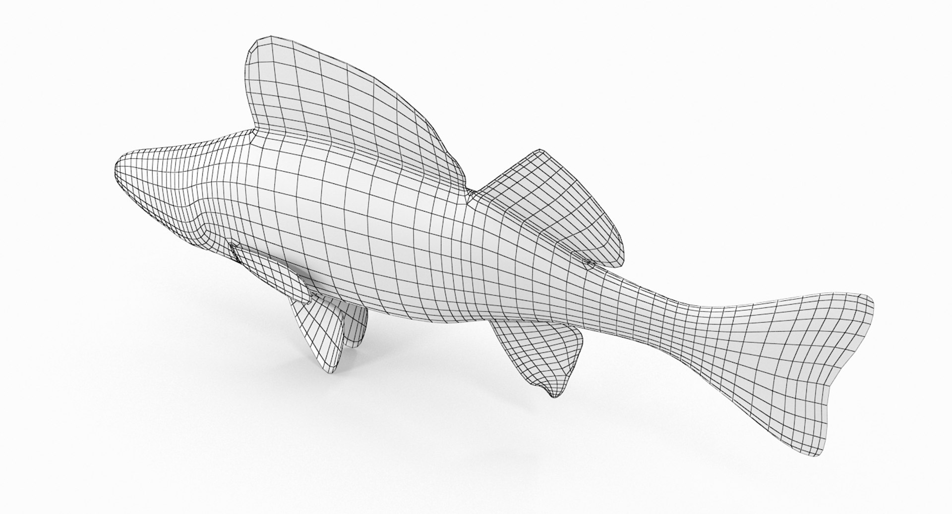3D Yellow Perch - TurboSquid 1171474