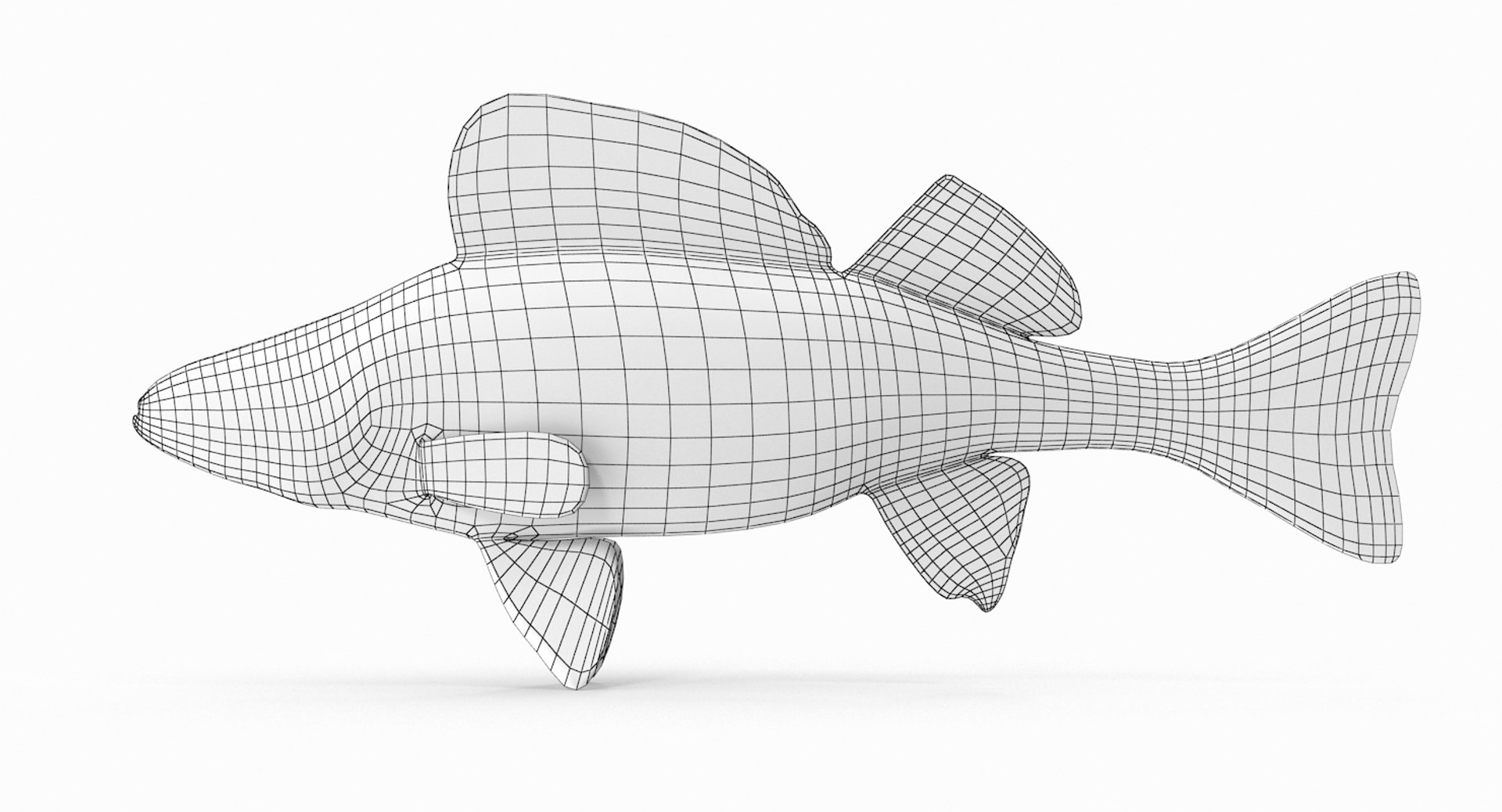 3D Yellow Perch - TurboSquid 1171474