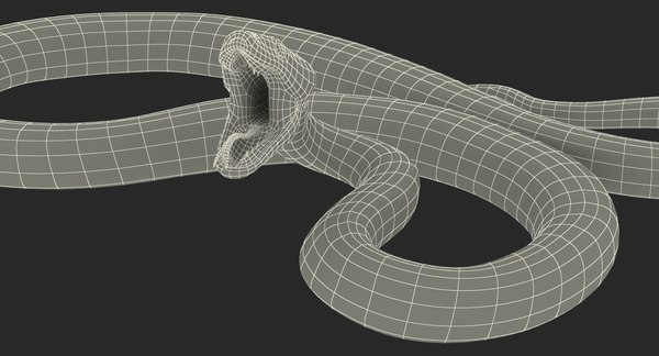 3D yellow python snake rigged model - TurboSquid 1436339