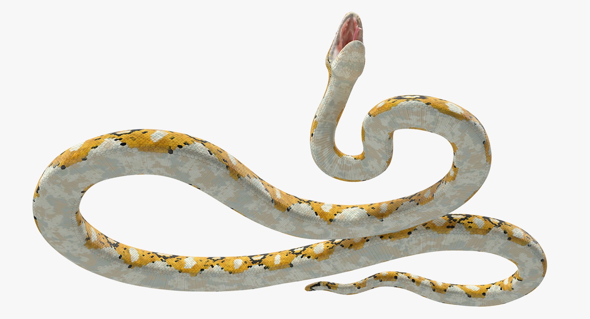 3D Yellow Python Snake Rigged Model - TurboSquid 1436339