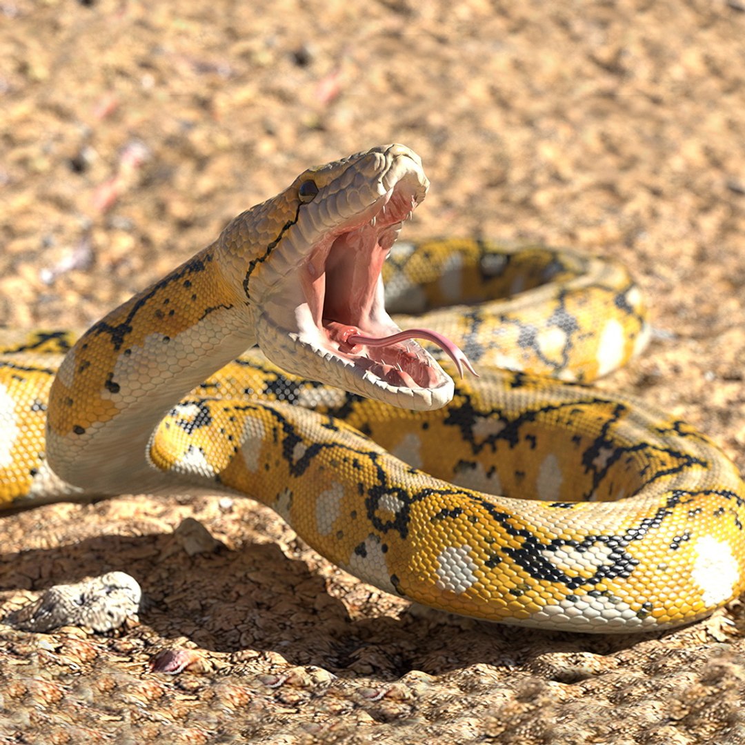 3D yellow python snake rigged model - TurboSquid 1436339