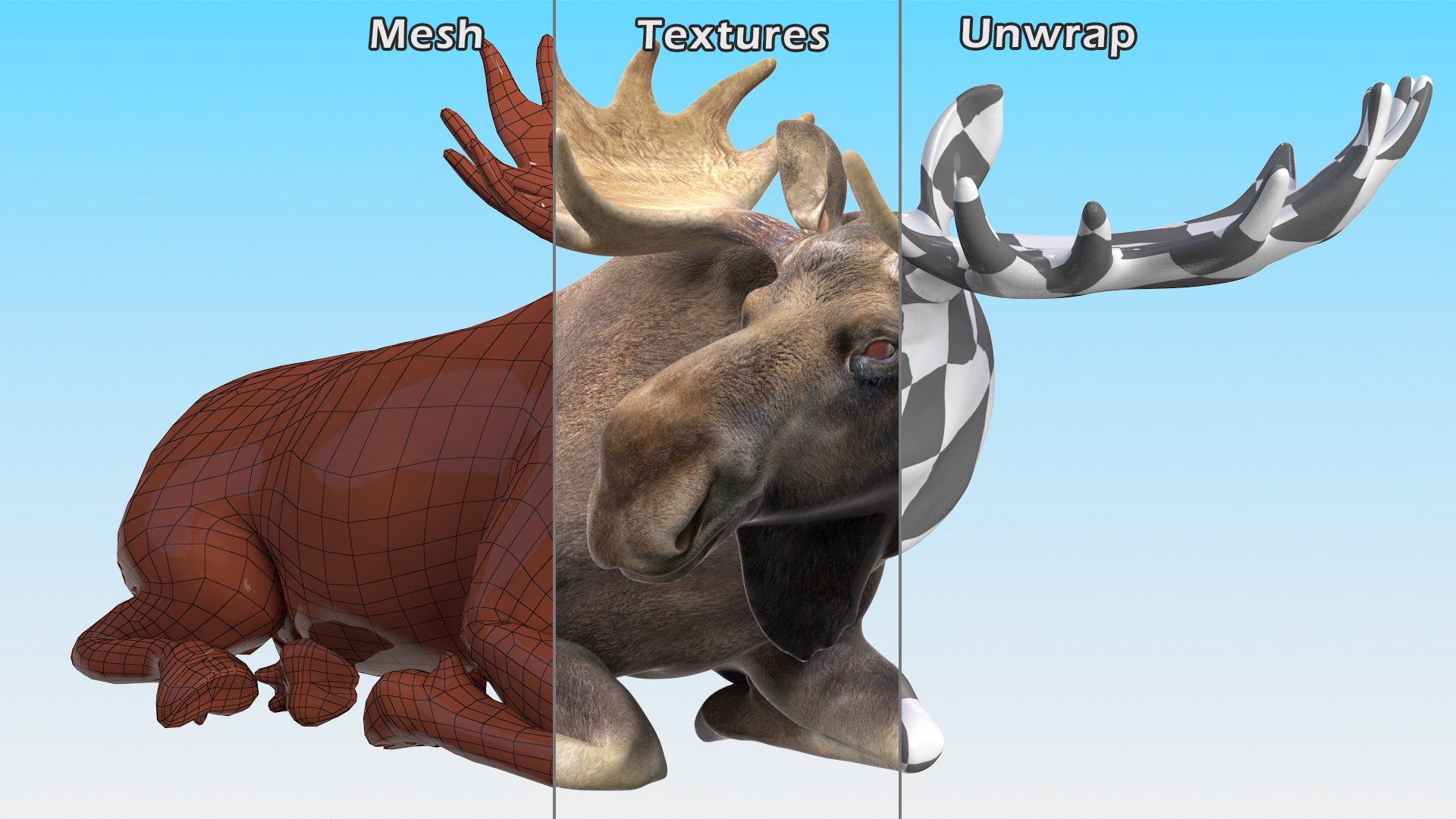 3D Lying Moose No Fur Model - TurboSquid 2093200