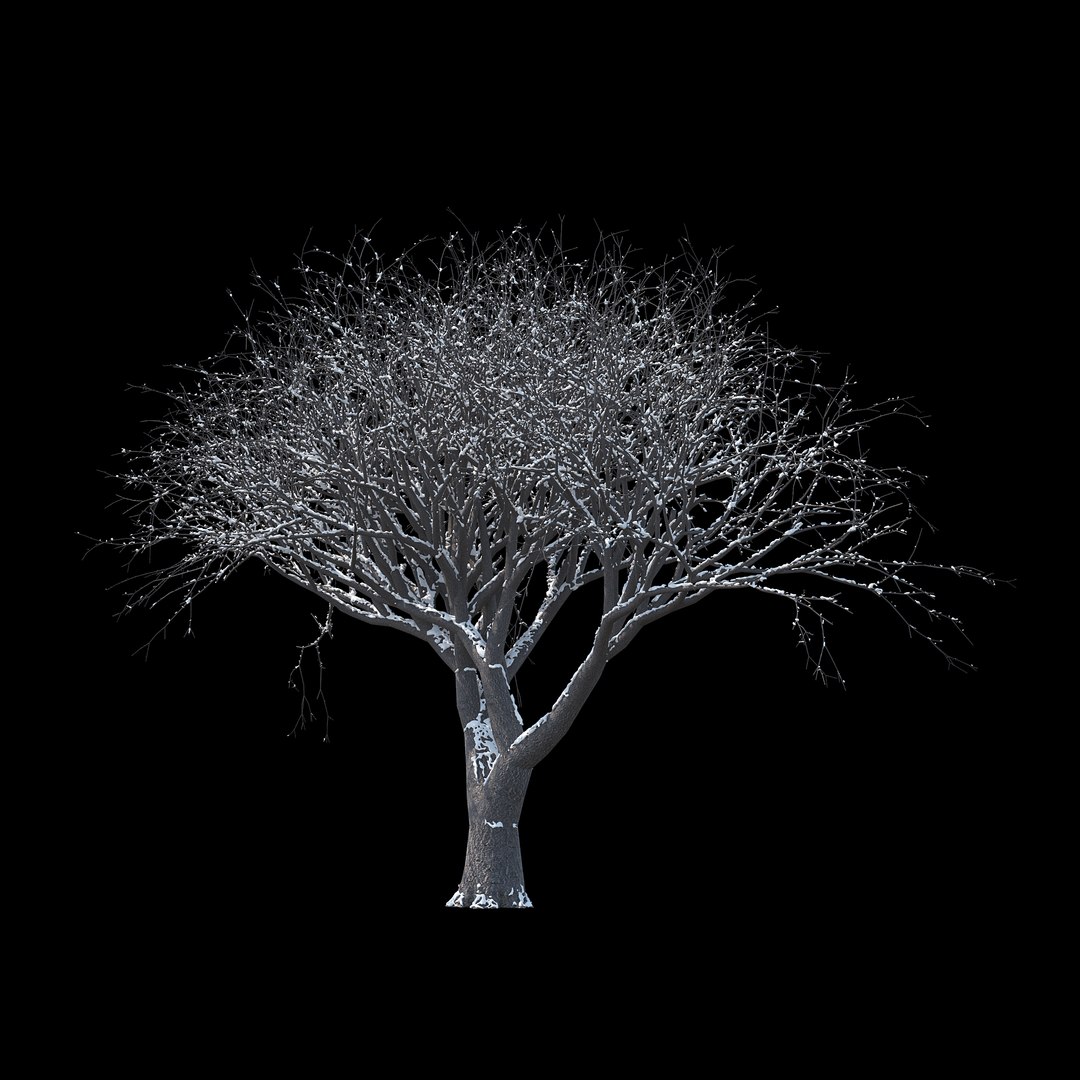 Winter Tree 012 3D Model - TurboSquid 1227361