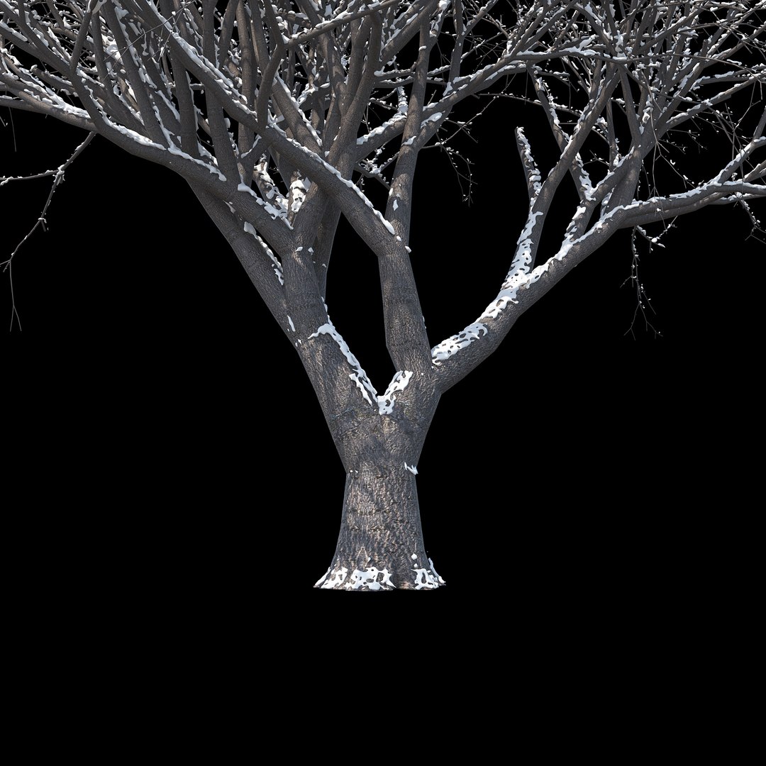 Winter Tree 012 3D Model - TurboSquid 1227361