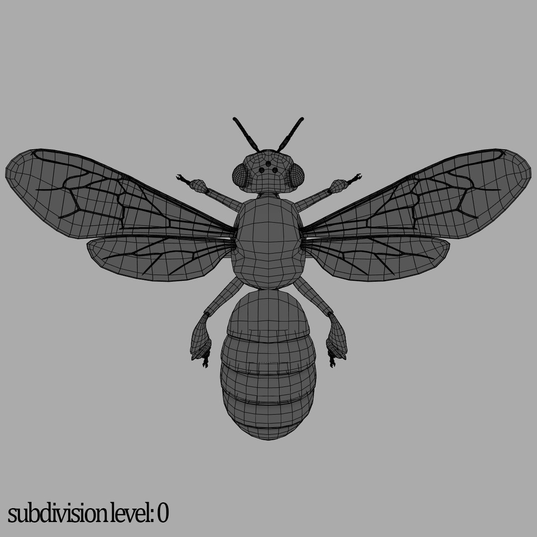 3d model of honey bee rigged animating