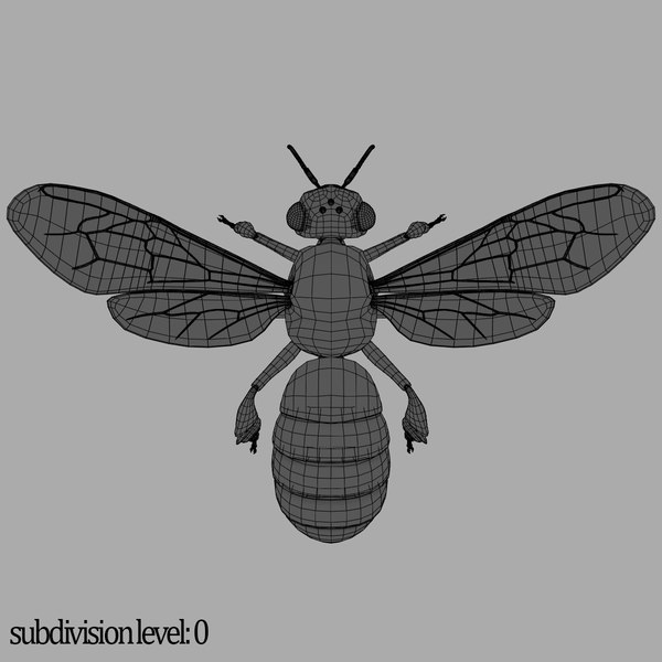 3d model of honey bee rigged animating