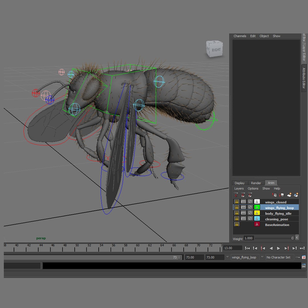 3d Model Of Honey Bee Rigged Animating