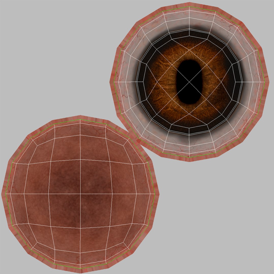 Bull pbr animation model - TurboSquid 1507816