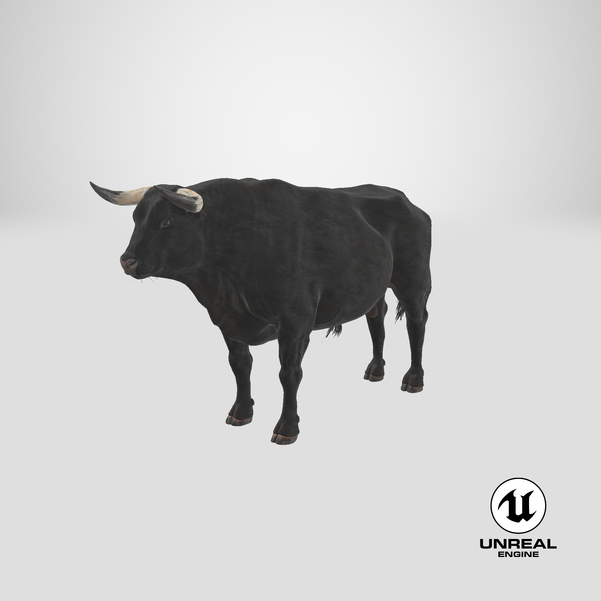 Bull pbr animation model - TurboSquid 1507816