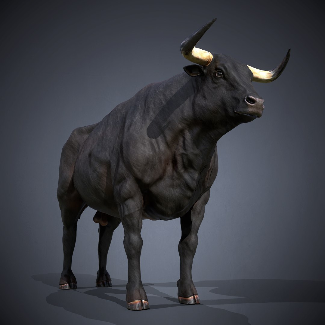 Bull pbr animation model - TurboSquid 1507816