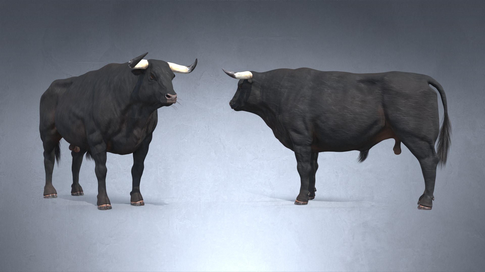 Bull pbr animation model - TurboSquid 1507816