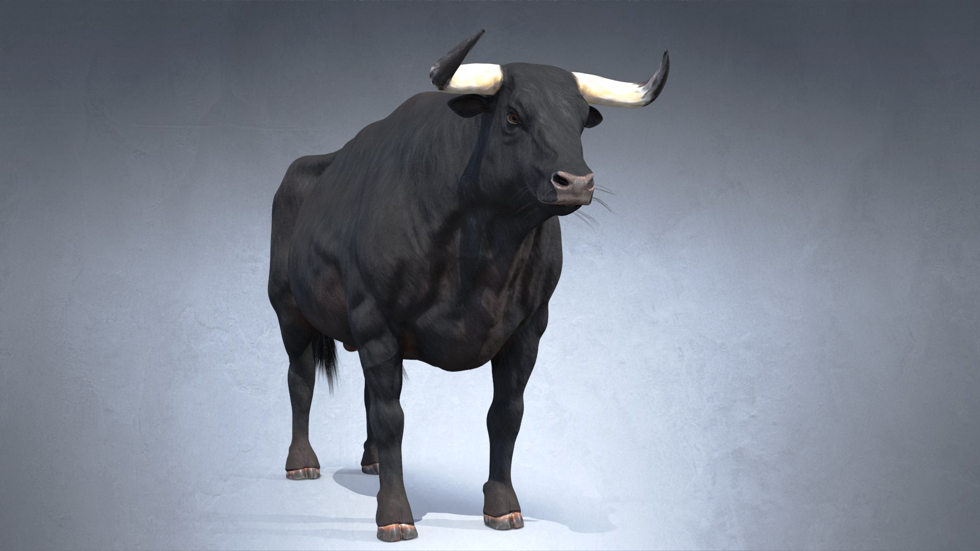 Bull pbr animation model - TurboSquid 1507816