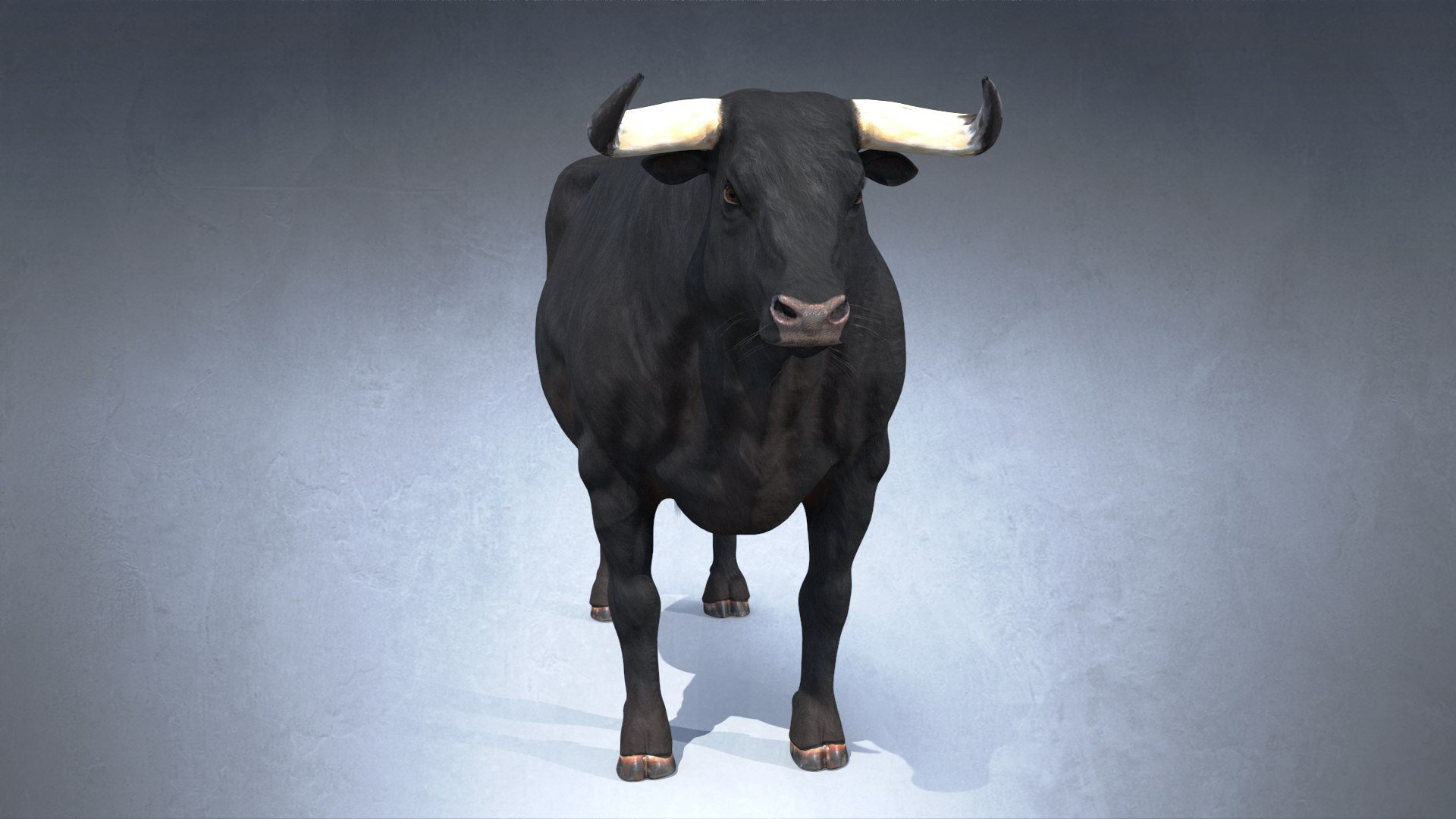 Bull pbr animation model - TurboSquid 1507816