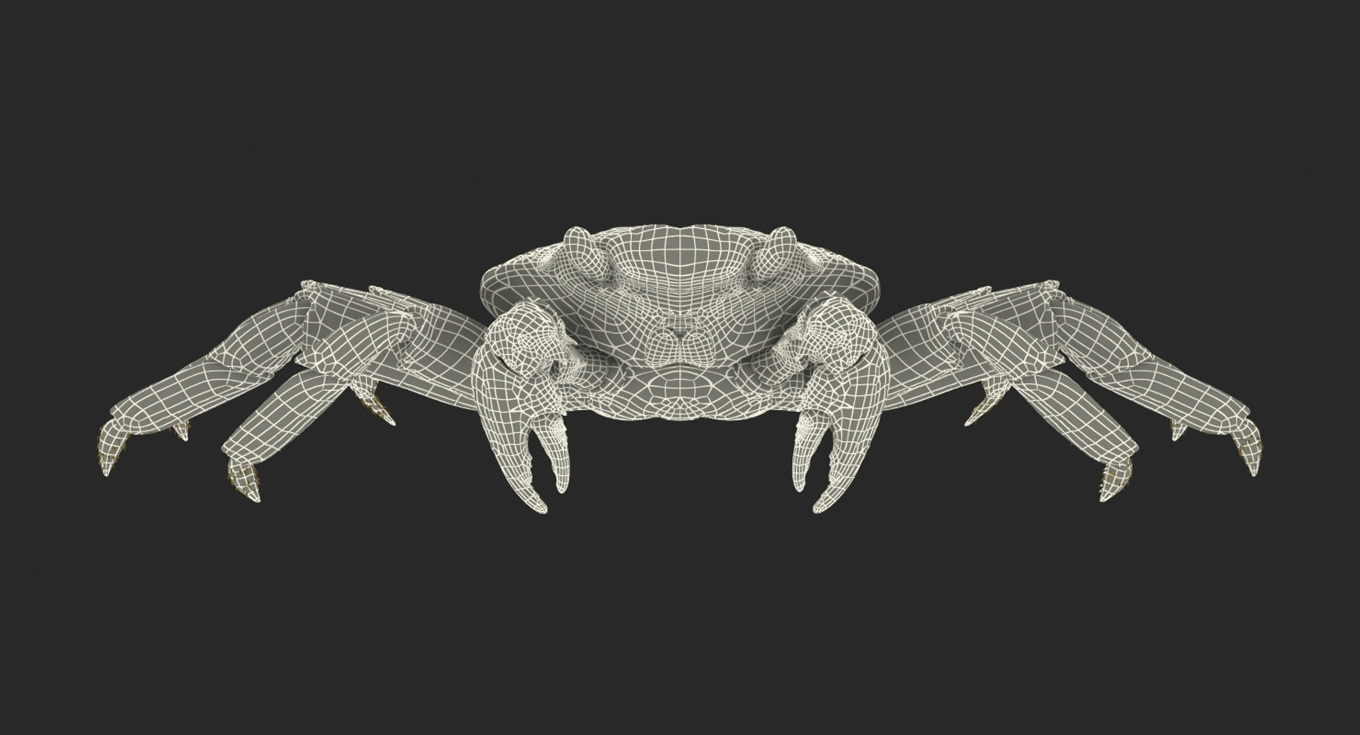 Red Rock Crab Rigged 3D Model - TurboSquid 1495188
