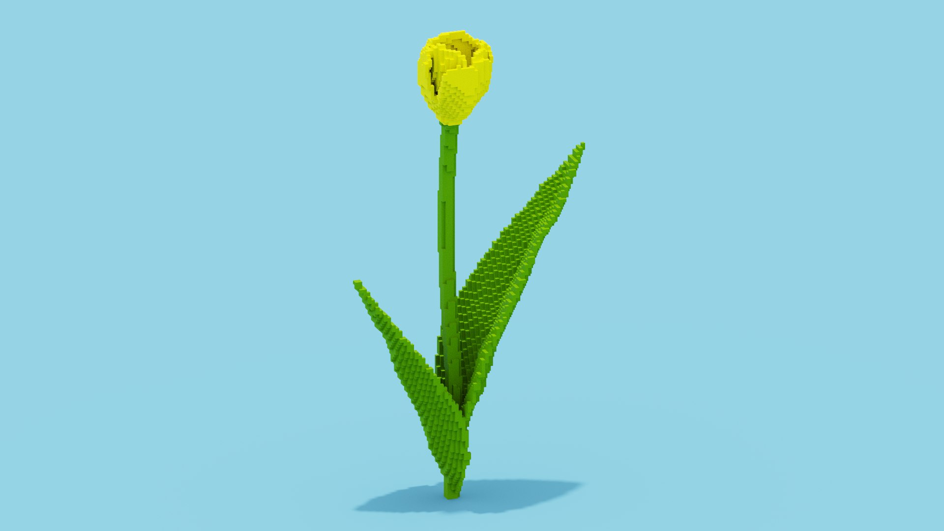 Tulip Voxel 3d Icon Model - TurboSquid 2215634