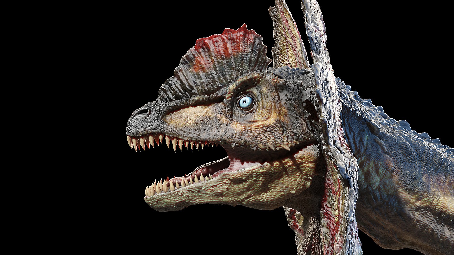 3D Dilophosaurus Model - TurboSquid 1647438