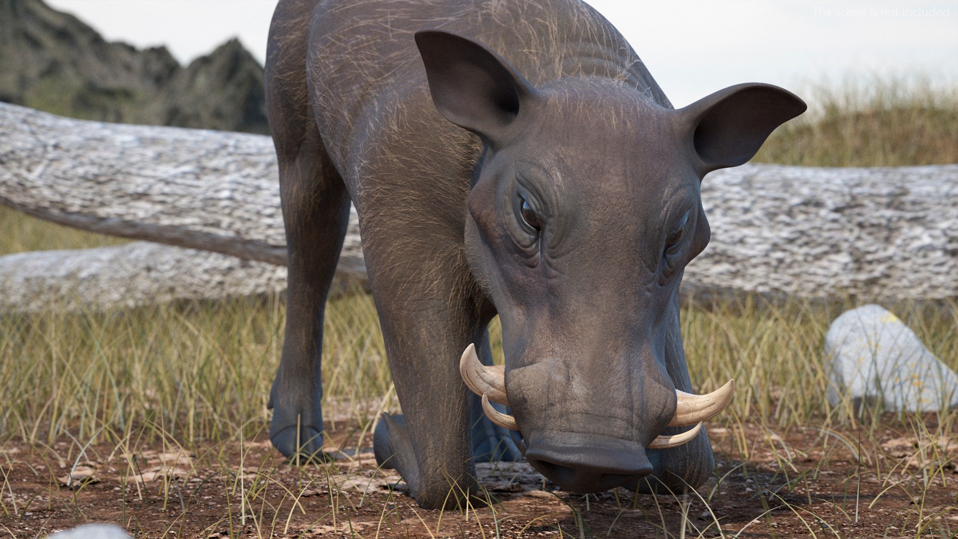 African Wild Boar Kneeling Pose Model - TurboSquid 2220168