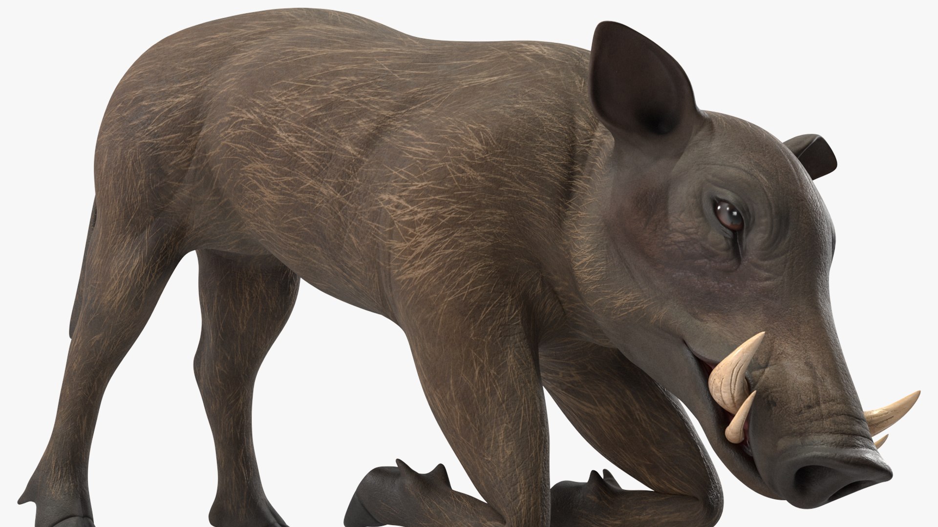 African Wild Boar Kneeling Pose Model - TurboSquid 2220168