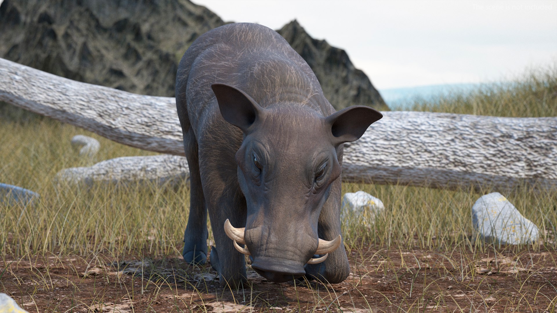 African Wild Boar Kneeling Pose Model - TurboSquid 2220168