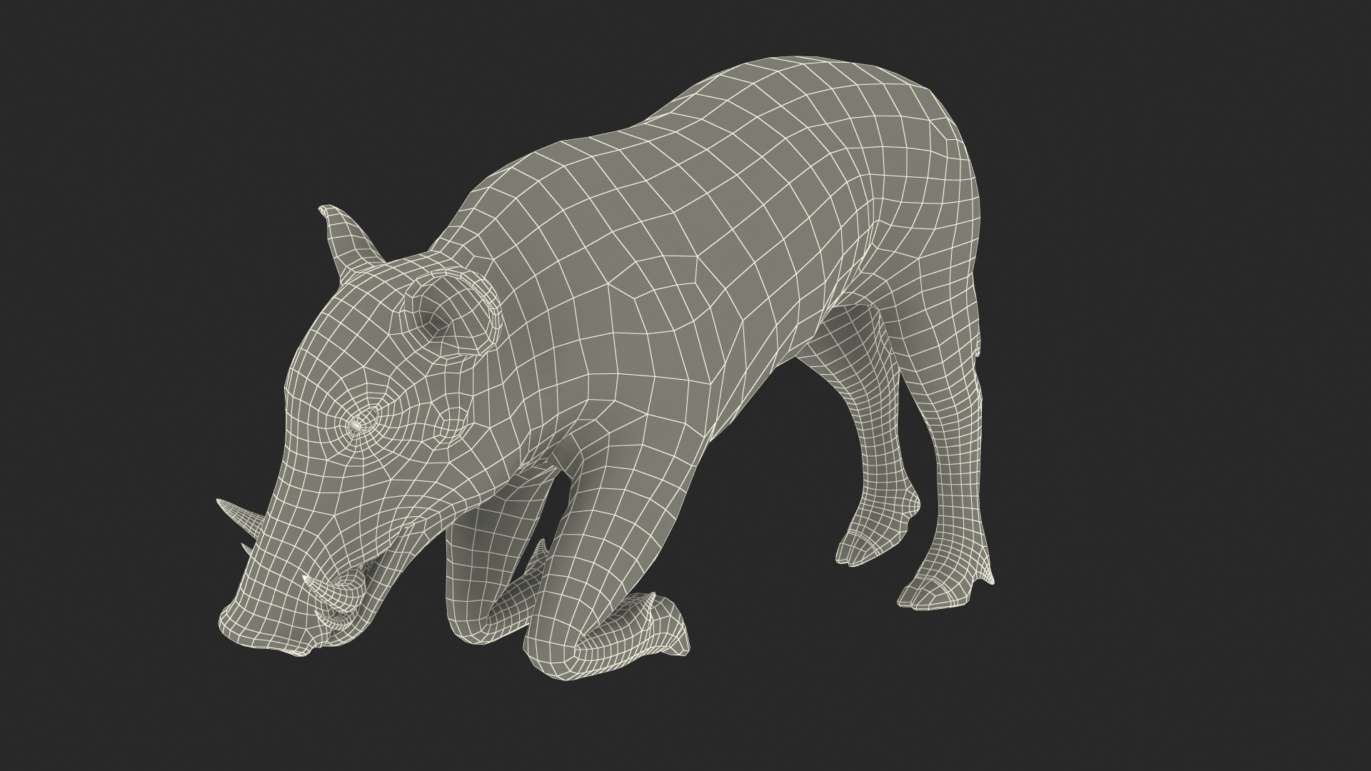 African Wild Boar Kneeling Pose Model - TurboSquid 2220168