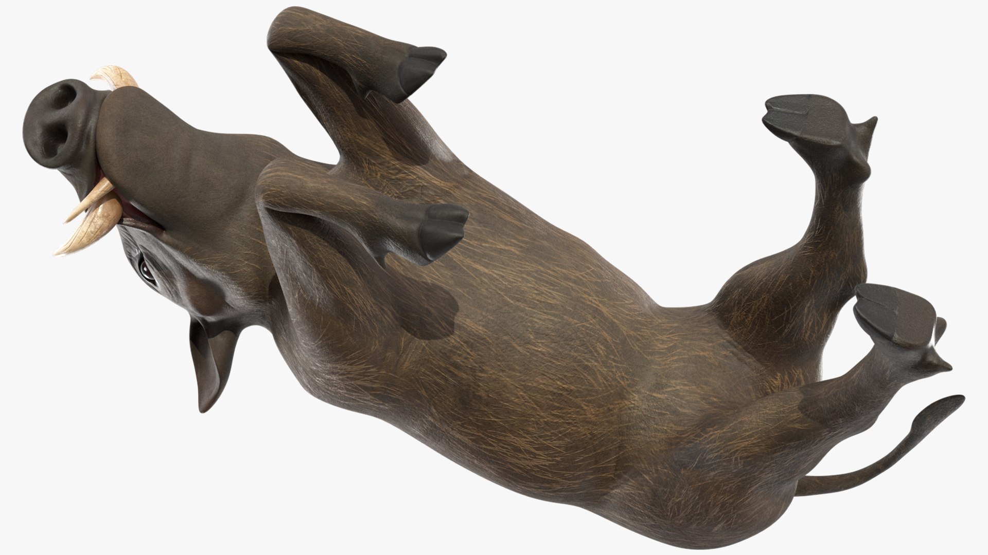 African Wild Boar Kneeling Pose Model - TurboSquid 2220168