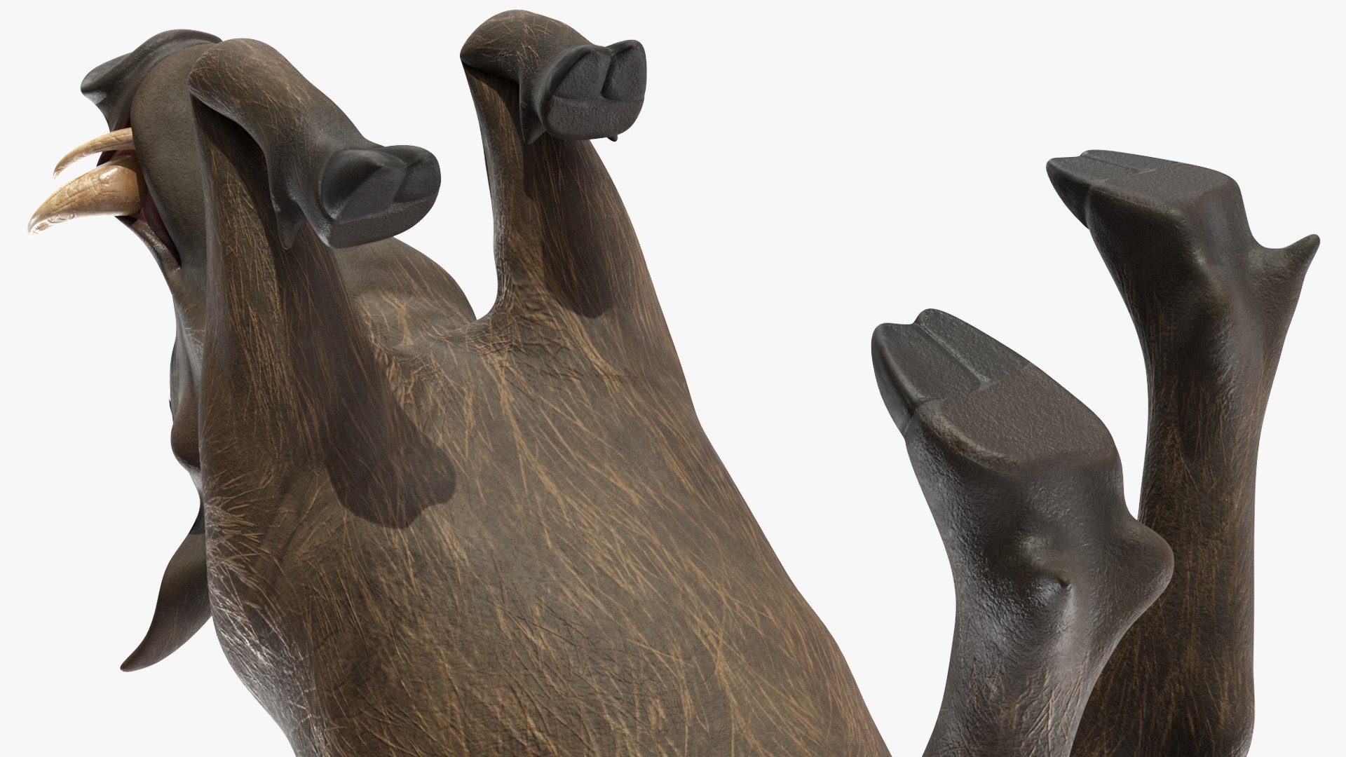 African Wild Boar Kneeling Pose Model - TurboSquid 2220168