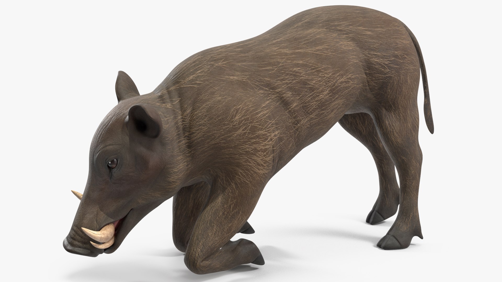 African Wild Boar Kneeling Pose Model - TurboSquid 2220168