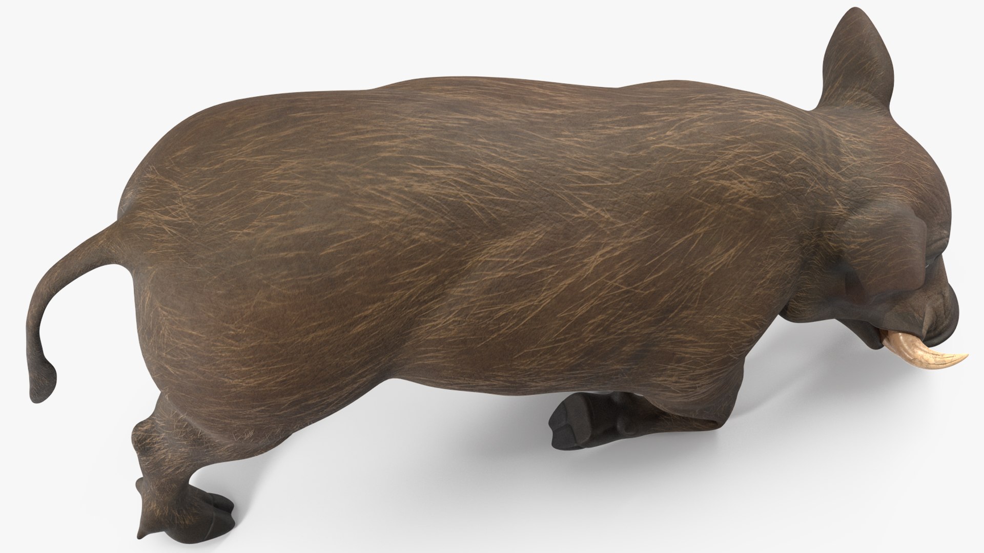 African Wild Boar Kneeling Pose Model - TurboSquid 2220168