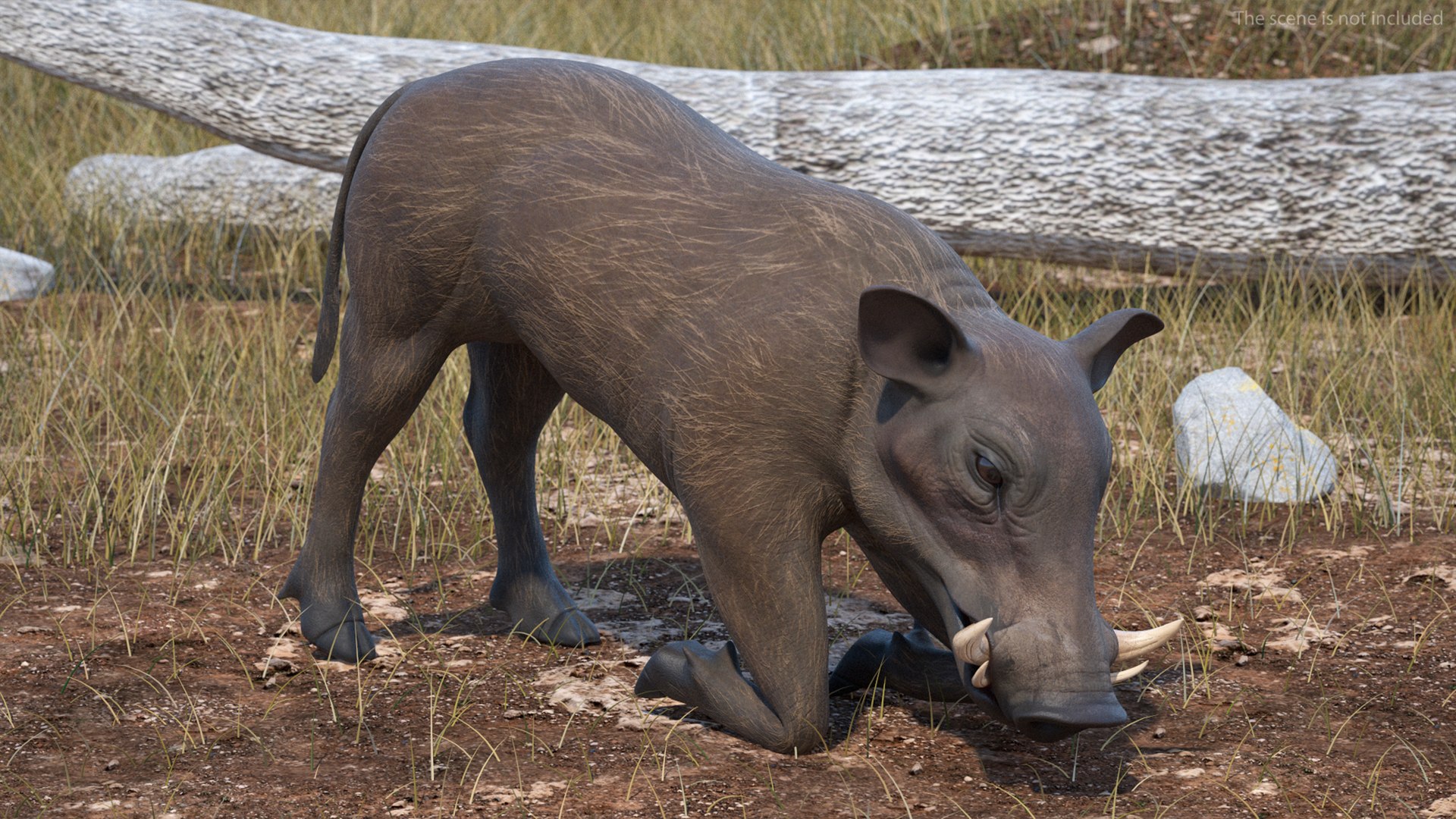 African Wild Boar Kneeling Pose Model - TurboSquid 2220168