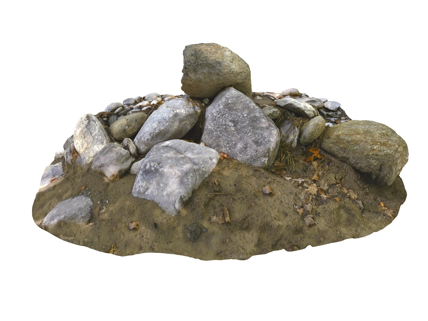 Forest Ground Rock 16k 3D Model - TurboSquid 1328940