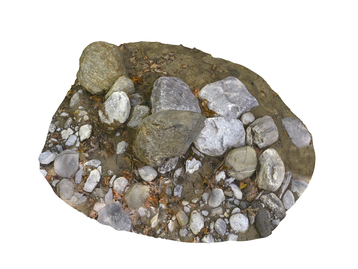 Forest Ground Rock 16k 3D Model - TurboSquid 1328940