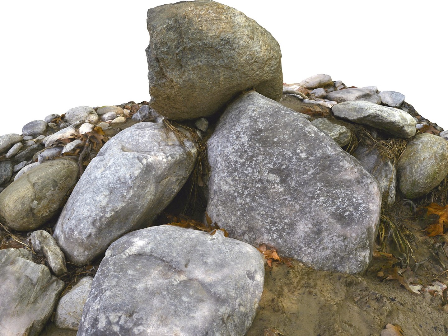 Forest Ground Rock 16k 3D Model - TurboSquid 1328940