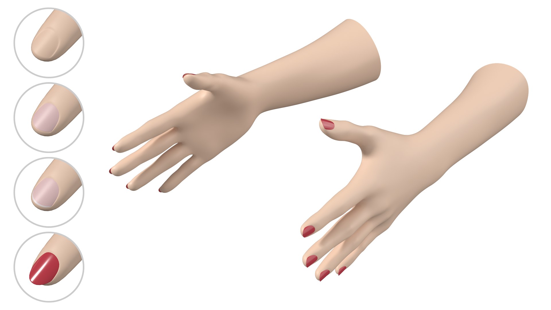 3D Female Hands Gesture 02 Base Mesh Model - TurboSquid 2174468