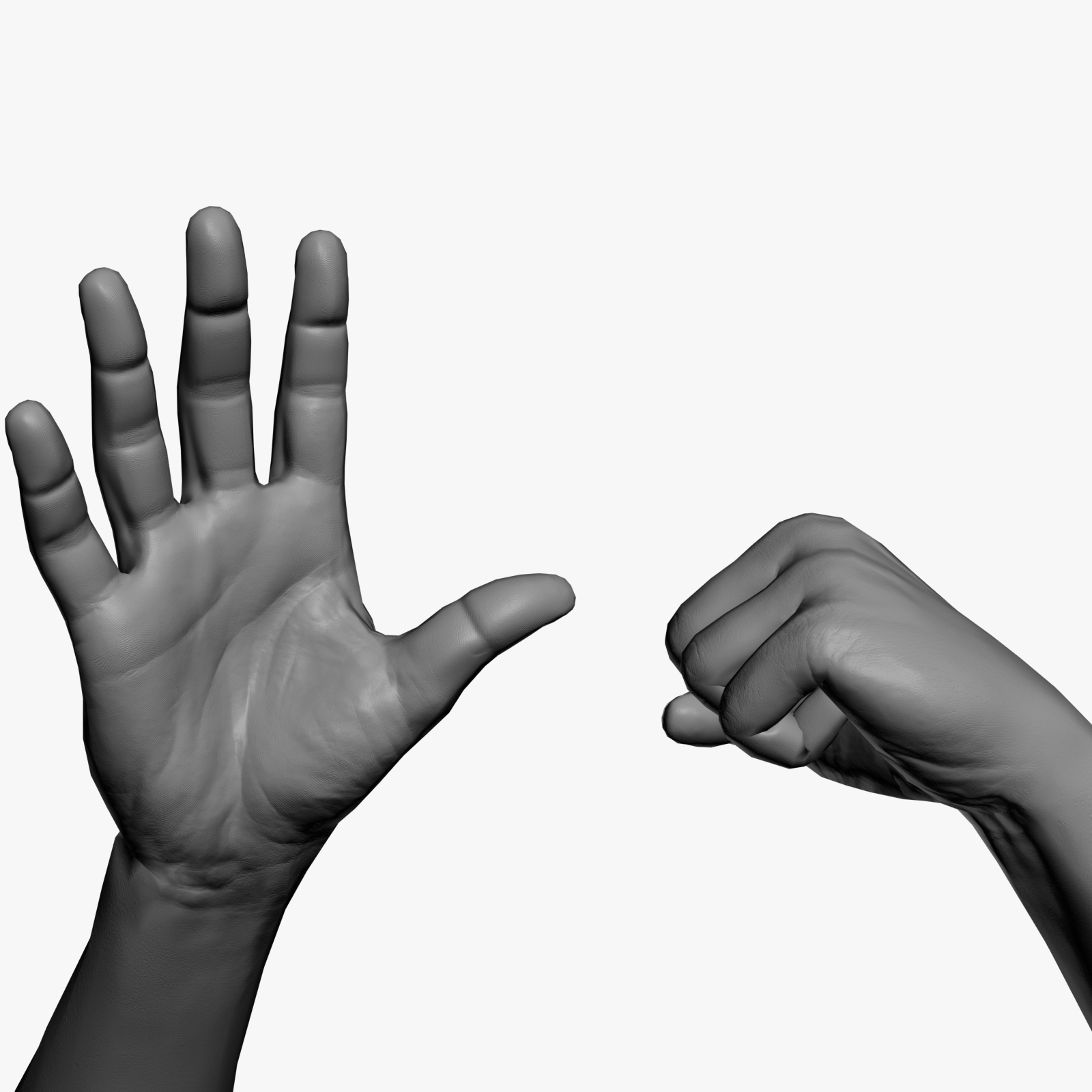 Ready hand - 3D - TurboSquid 1231440