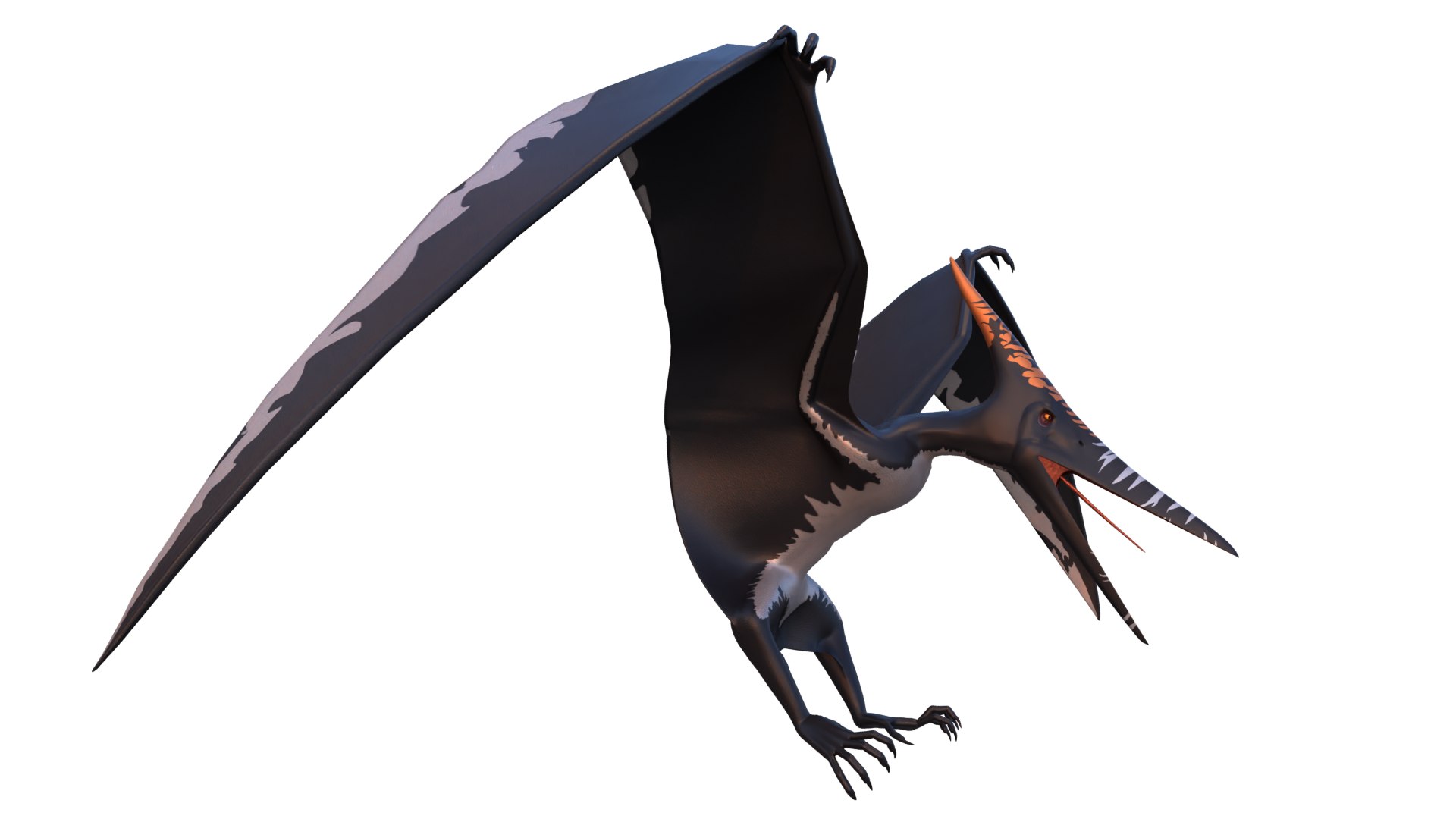 Pteranodon Longiceps 3D Model - TurboSquid 1618344