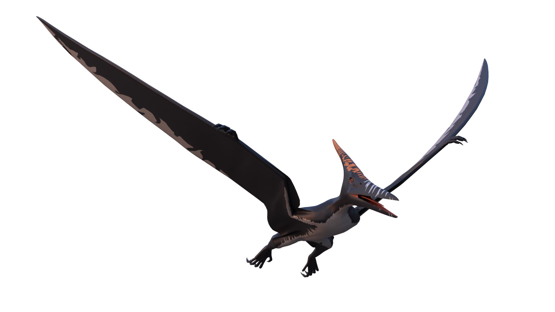 Pteranodon Longiceps 3D Model - TurboSquid 1618344