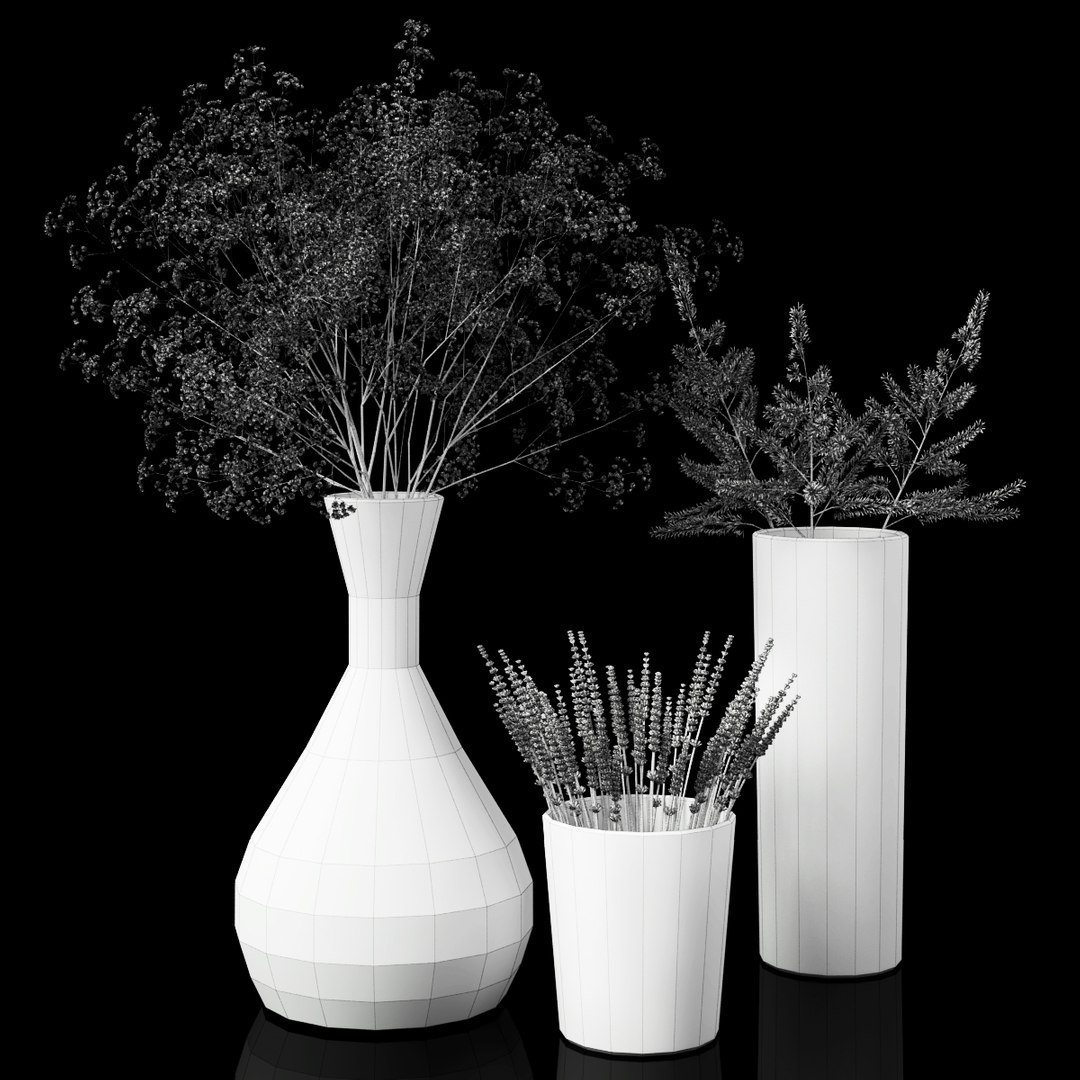 3d Gypsophila Dry Flowers Plants