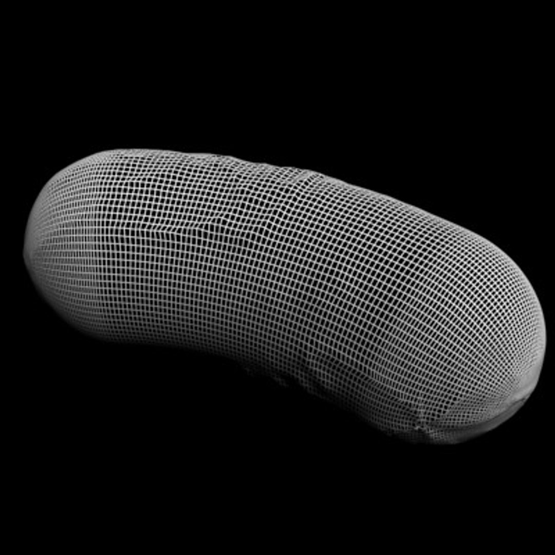 Microscopic Bacillus Bacterial Cell 3d Model