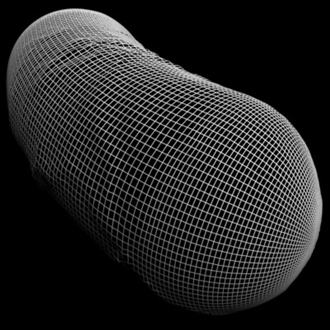 Microscopic Bacillus Bacterial Cell 3d Model