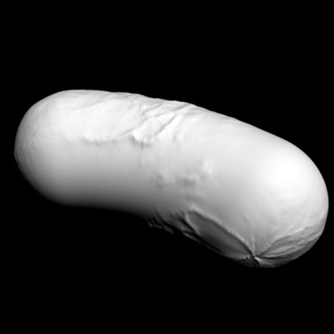 Microscopic Bacillus Bacterial Cell 3d Model