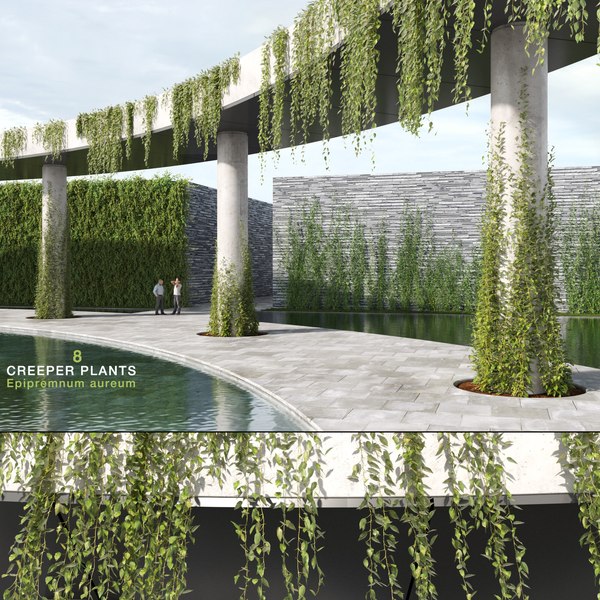 macrox 3D Models for Download | TurboSquid