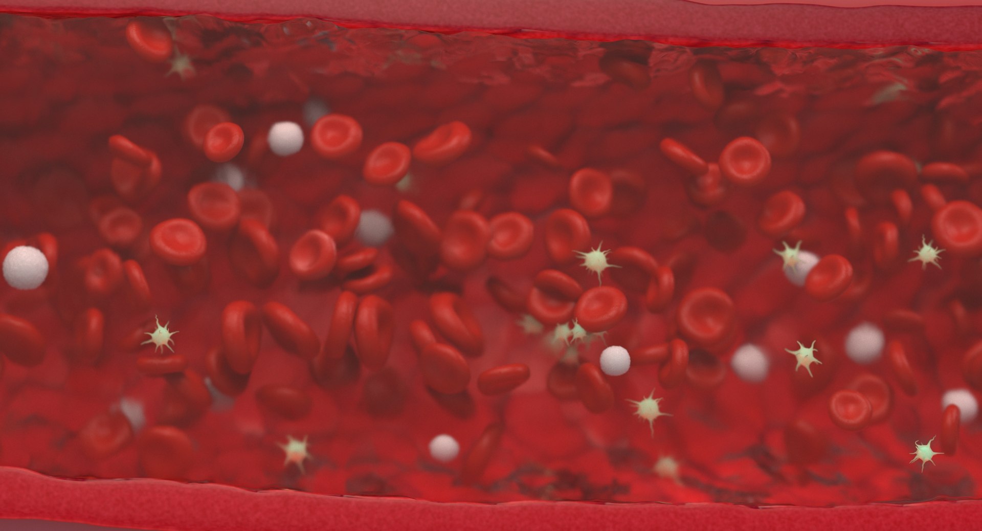 Blood flow static 3D model - TurboSquid 1405013