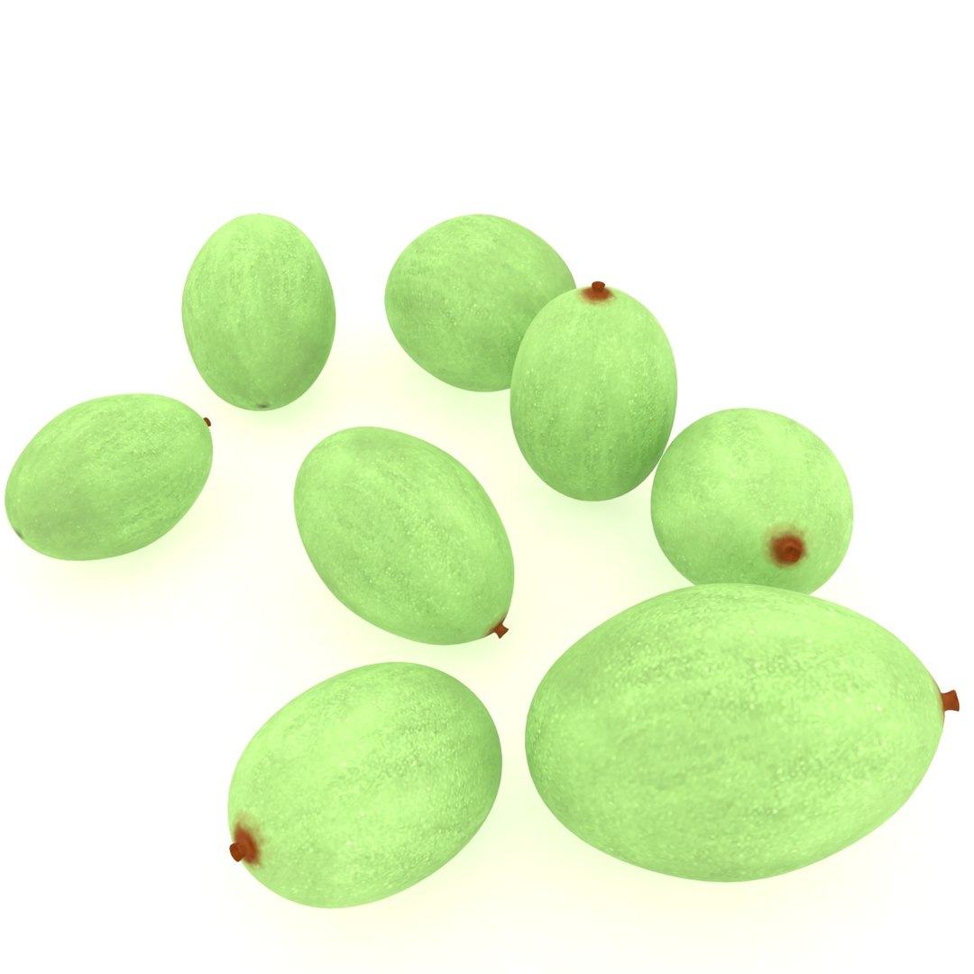 3D Seeds Plant - TurboSquid 1604118