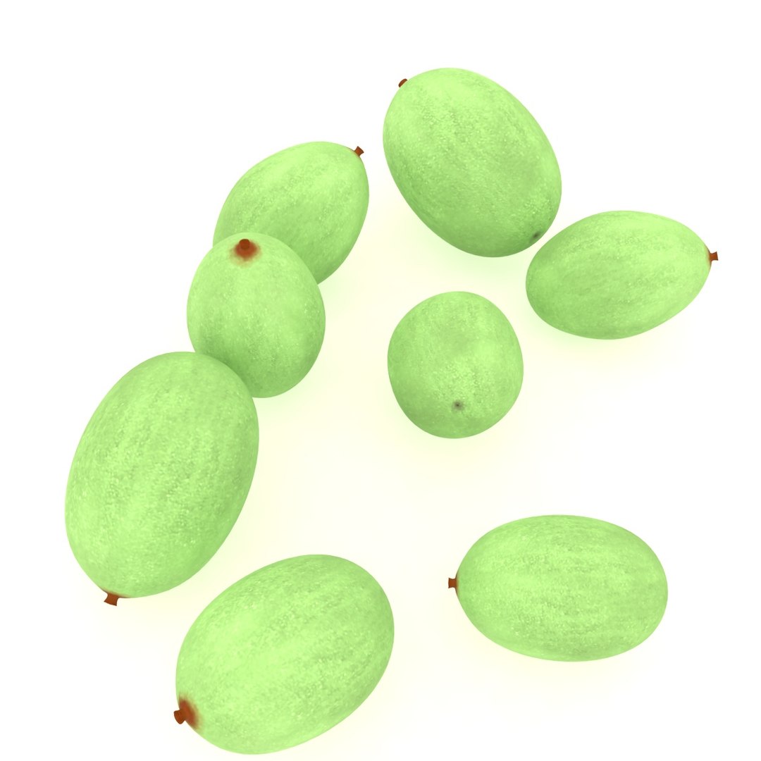 3D Seeds Plant - TurboSquid 1604118