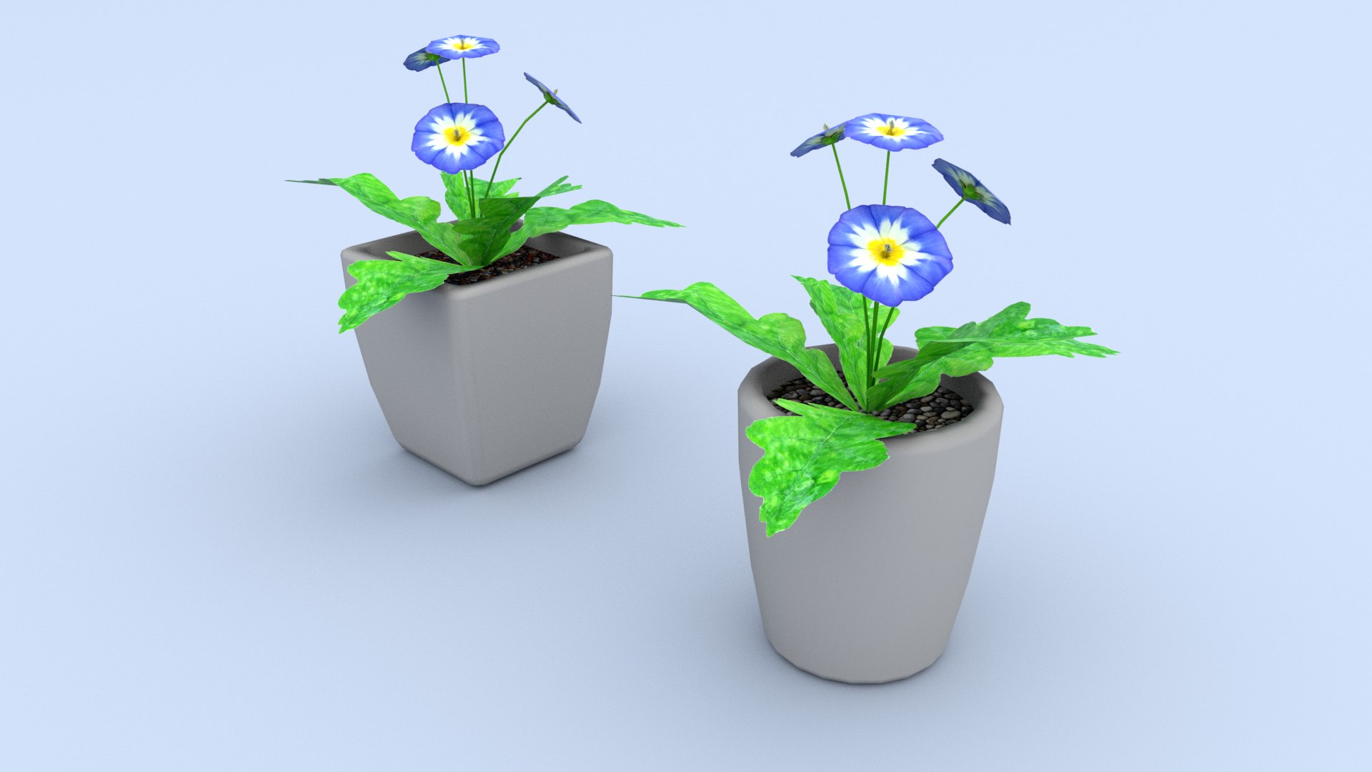 3D 6 Low Poly Flowers Collection 02 With Two Different Pots Low-poly 3D ...